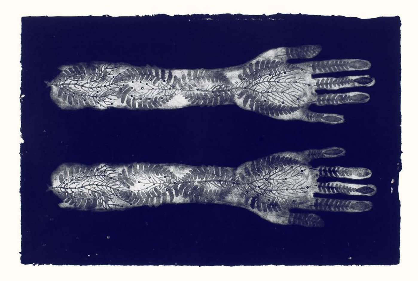 Somatics as a bridge to the regenerative power of our bodies - Body as ...